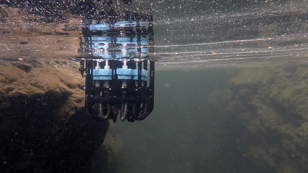 eDNA's Crucial Role in Monitoring Biodiversity Loss