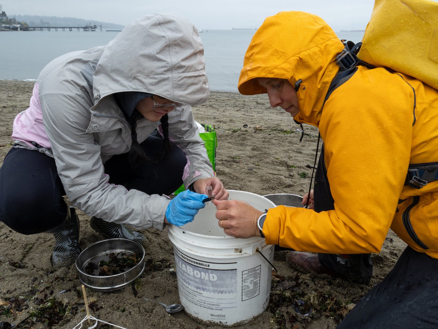 Undergraduate Student Collects Real Microplastics Data Using Ocean ...