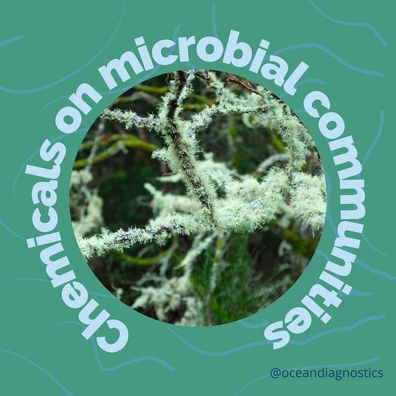 Microplastic Pollution Cultivates Agricultural Issues