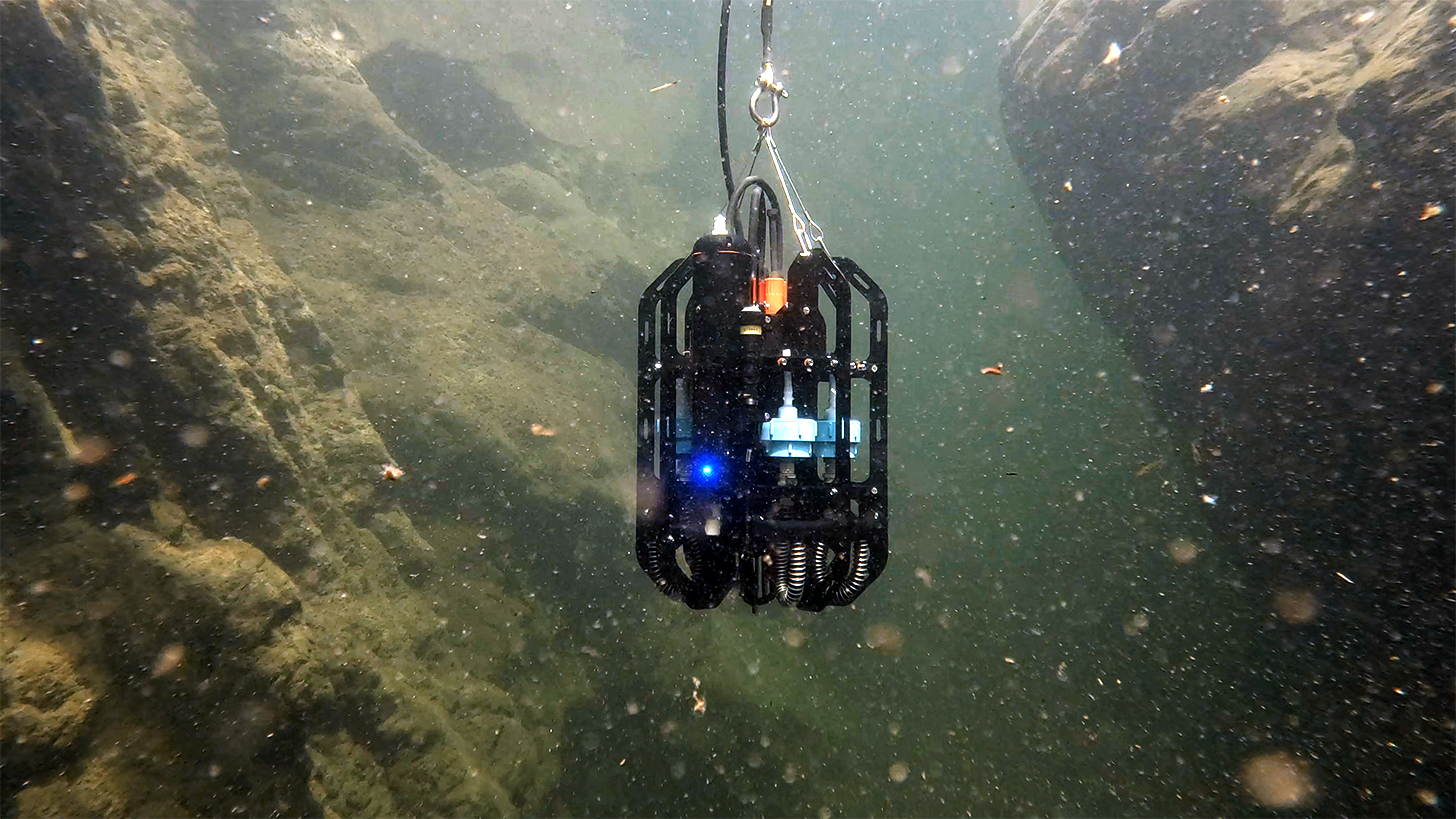 eDNA's Crucial Role in Monitoring Biodiversity Loss