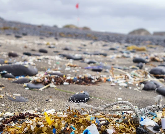 Ocean Diagnostics’ Technology Helps to Uncover Microplastic Exposure in ...