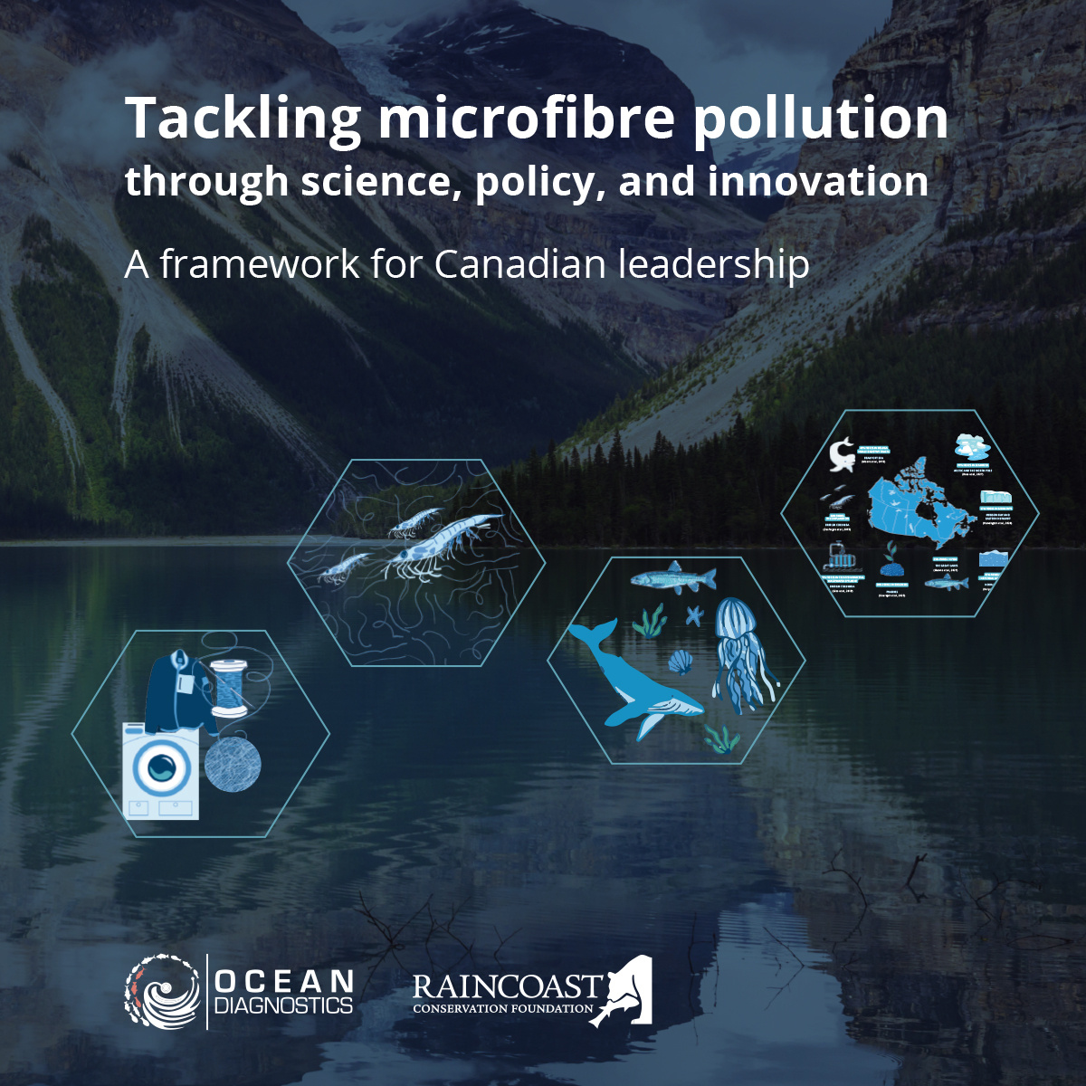 Microfibre Pollution Report and Recommendations